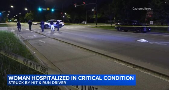 Tragic Hit-and-Run in Humboldt Park: 45-Year-Old Lisa Barber's Fatal ...