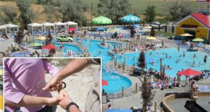 Water Park Incident: Swimmer Allegedly Attacks Boy Over Splashing ...
