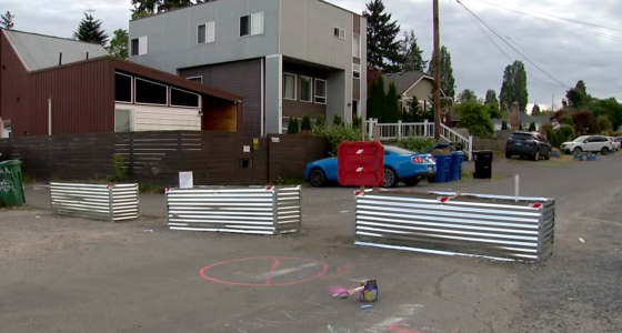 Residents Erect Massive Barricades to Combat Crime Surge in Urban Blue ...