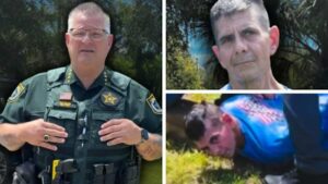 Central Florida Incident: Man Accused of Fatally Shooting Cat with BB ...