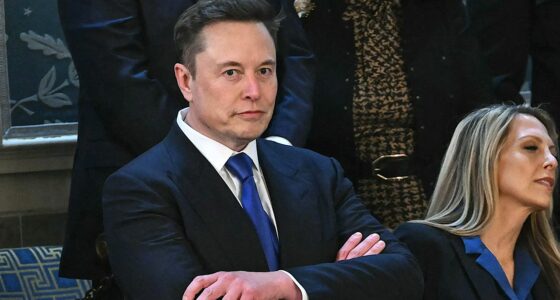 Elon Musk Calls for Jail Time for Politicians Who Ignored Grooming ...