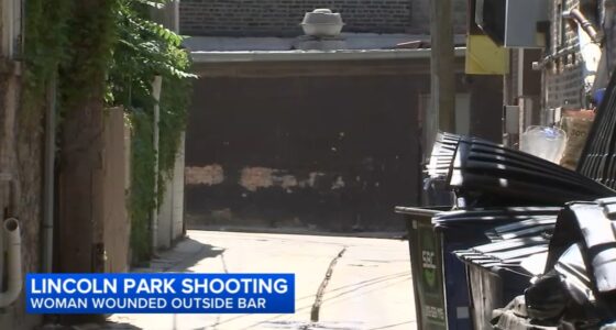Critical Injury: Woman Shot Near 600 W Belden Ave in Lincoln Park ...