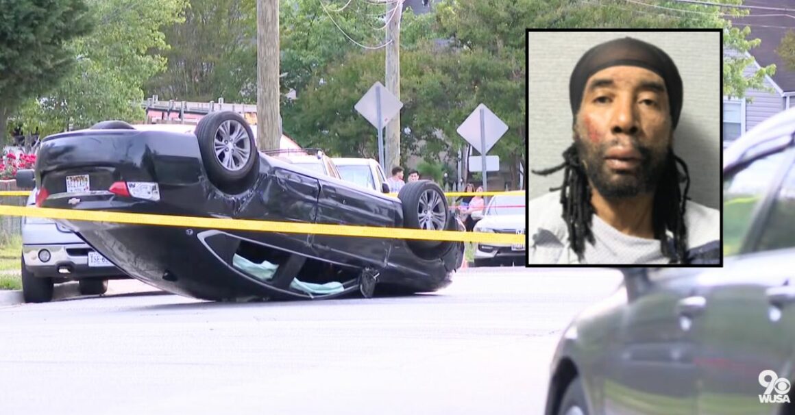 Homeless Man Arrested for Animal Cruelty and Vandalism: Shocking ...