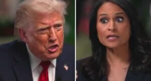 NBC Reporter’s Six-Word Statement on California Elections Provokes ...