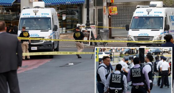 NYPD Officer Struck by Suspect Fleeing in Stolen Car; Fellow Officer ...