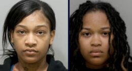 Pregnant Woman and Sister Allegedly Involved in Altercation with ...