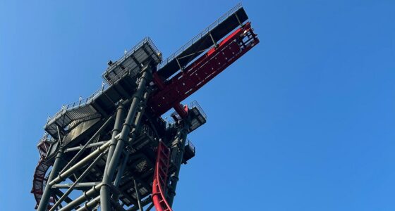 Roller Coaster Malfunctions Twice in a Weekend, Leaving Riders ...