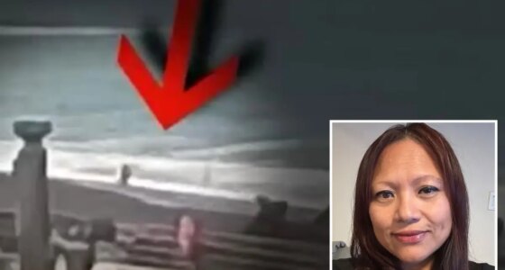 Dramatic Video Shows Sneaker Wave Sweeping California Woman Into Ocean ...