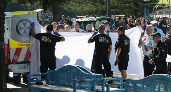 Woman in Critical Condition After Shark Attack: What Happened and ...